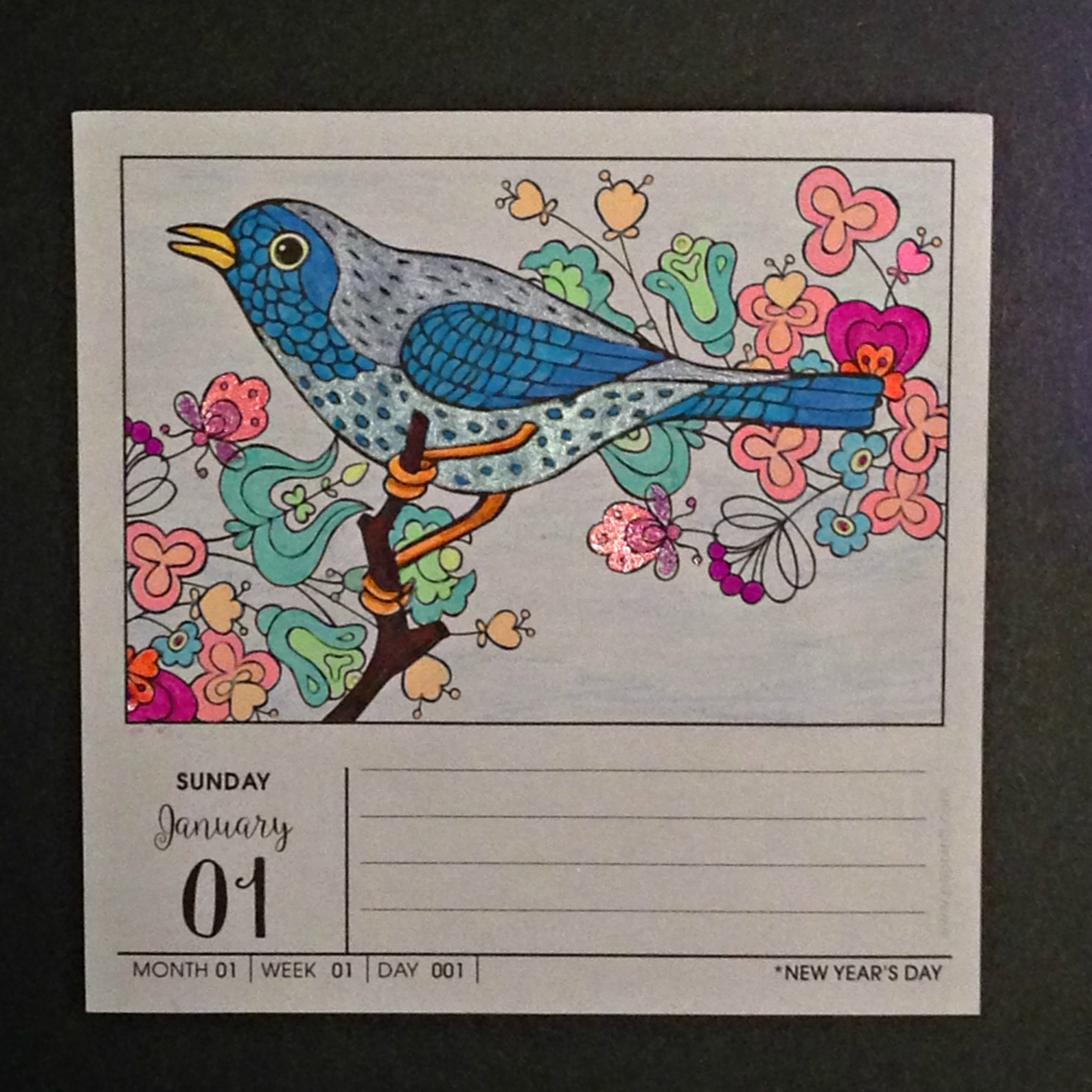 Creative Coloring Througout the Year Gratitude Journal